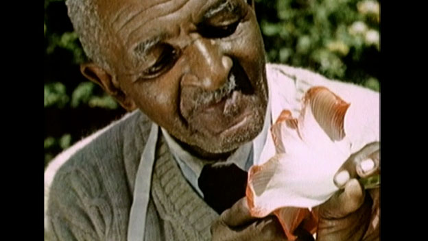 color picture of george washington carver
