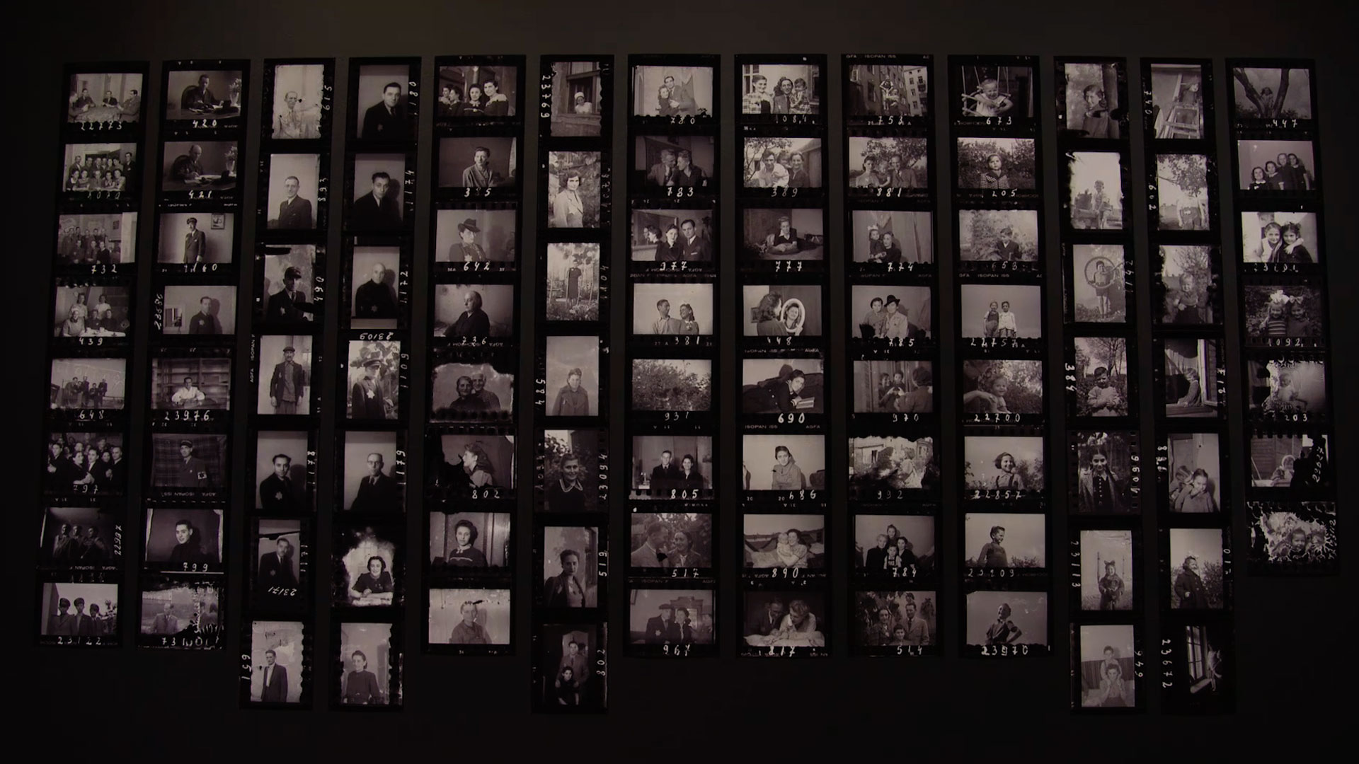 dr mengele experiments